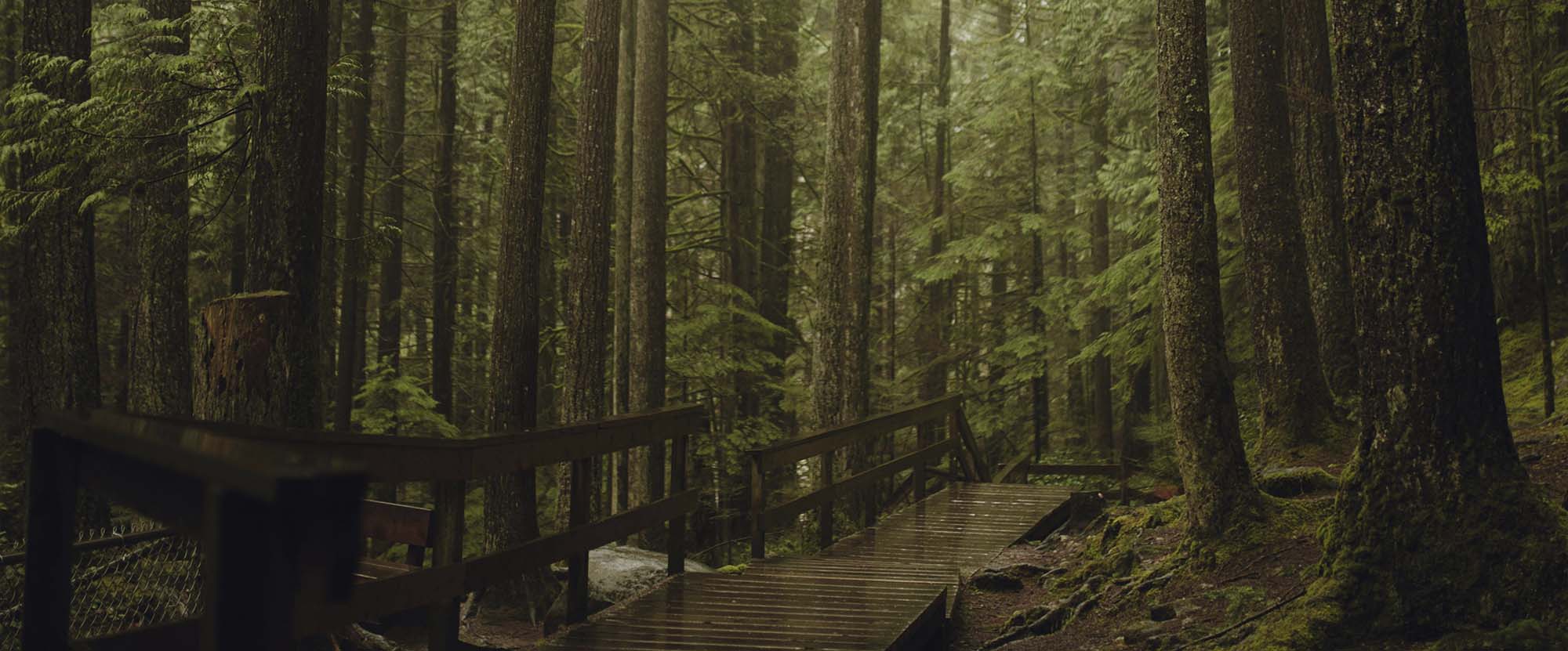 El pastor rey - La Casa del Padre